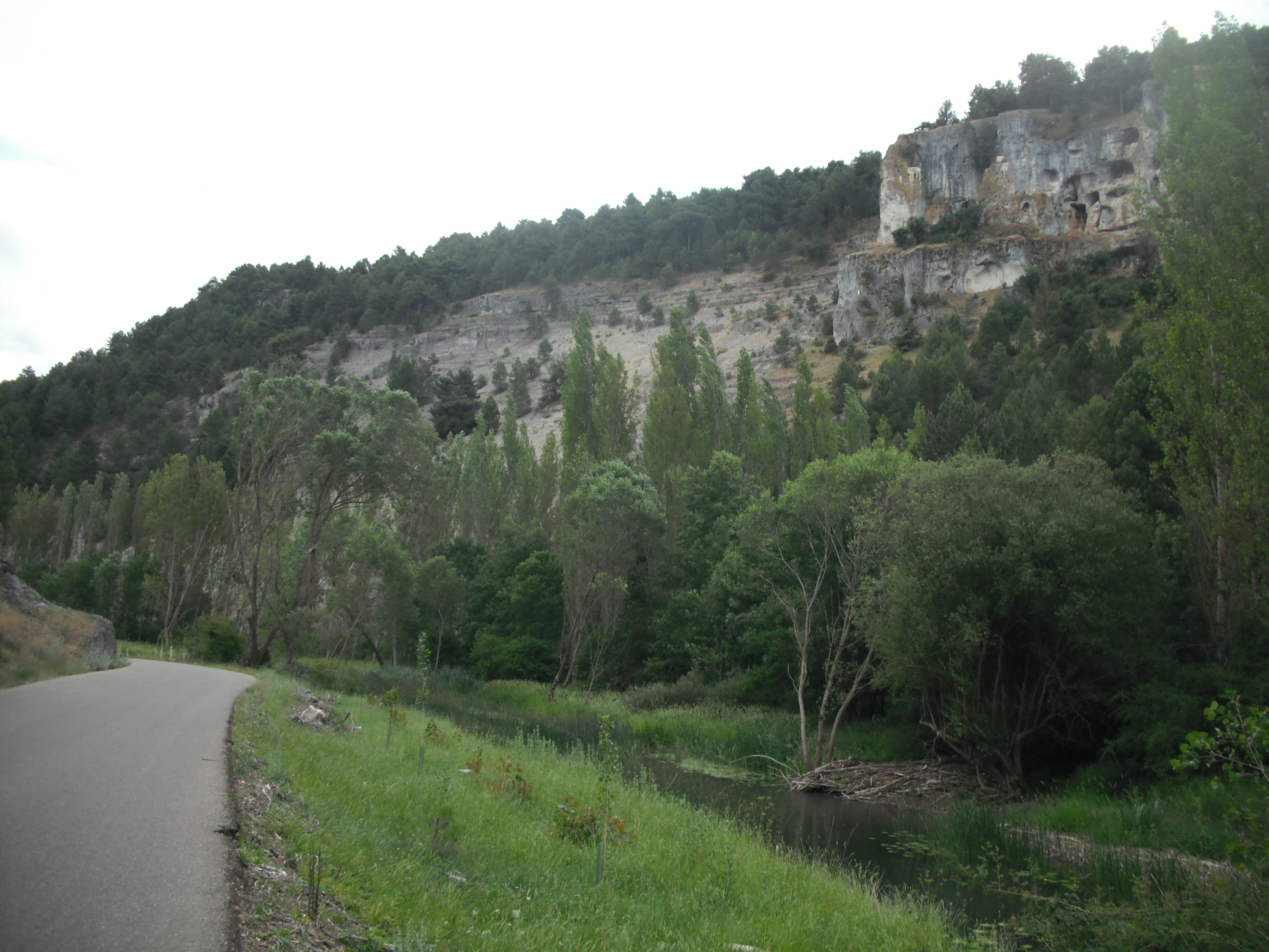 Cañón del río Lobos - Cañón del río Lobos - CHDuero